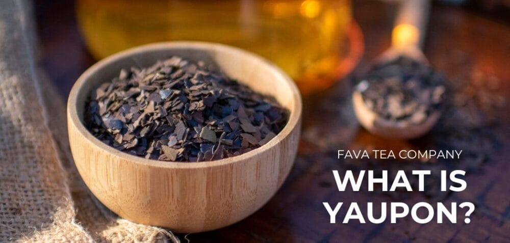 Yaupon Specialty Tea - Fava Tea